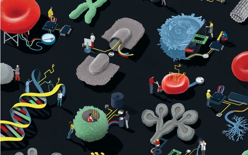 Cells That Compute Come Closer to Reality - Scientific American