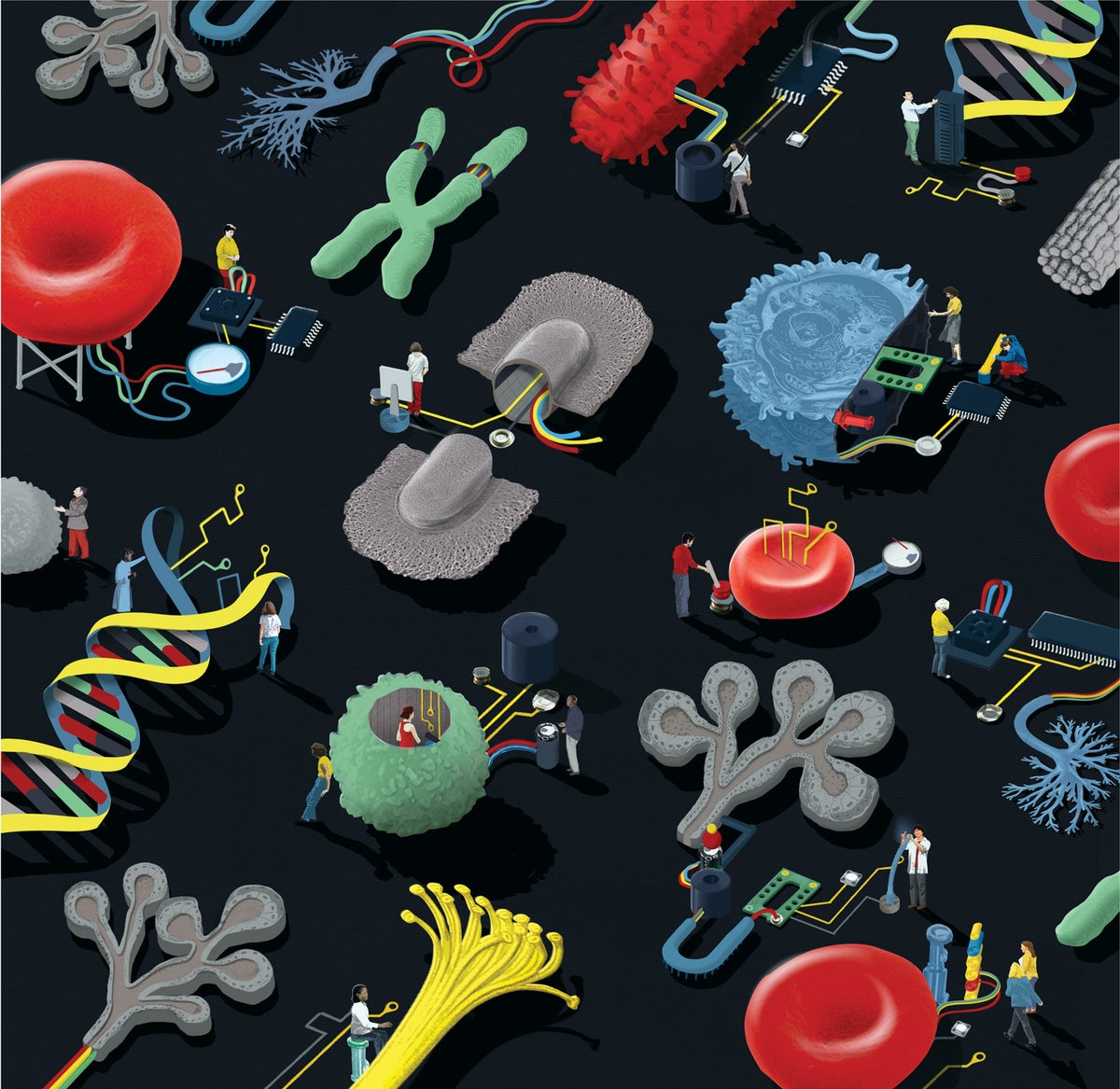 Cells That Compute Come Closer to Reality | Scientific American