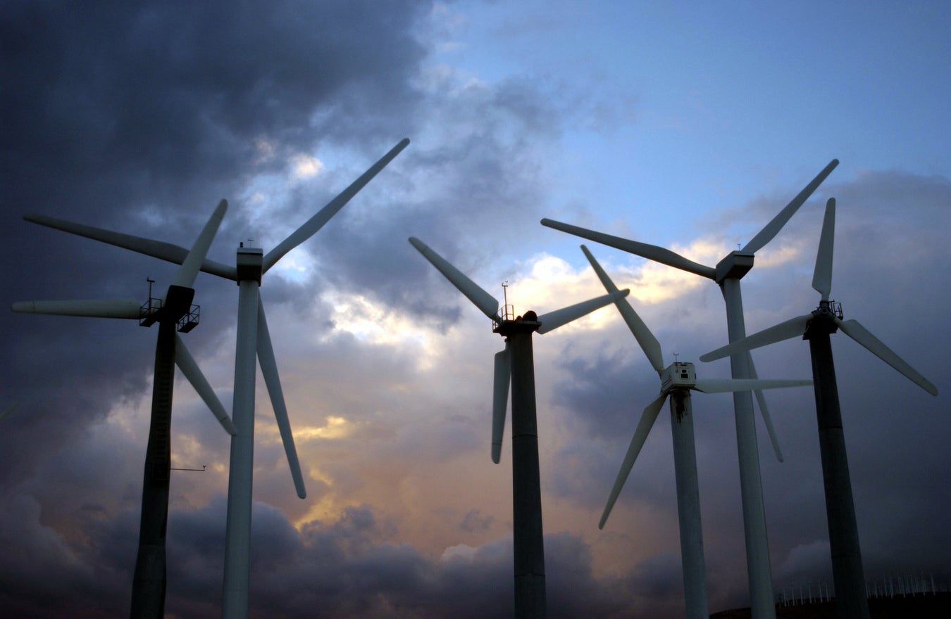 Wind Energy Could Get Safer for Bats with New Research | Scientific ...