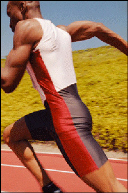 "Marathon Mice" Spotlight a Rare Type of Muscle - Scientific American