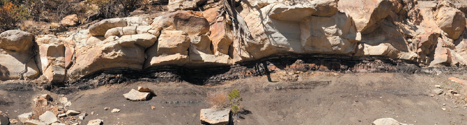 What Ancient Mass Extinctions Tell Us about the Future | Scientific ...