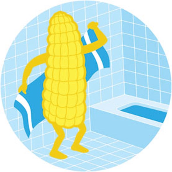 Friction Makes Cornstarch and Water into Bizarre "Oobleck" - Scientific ...