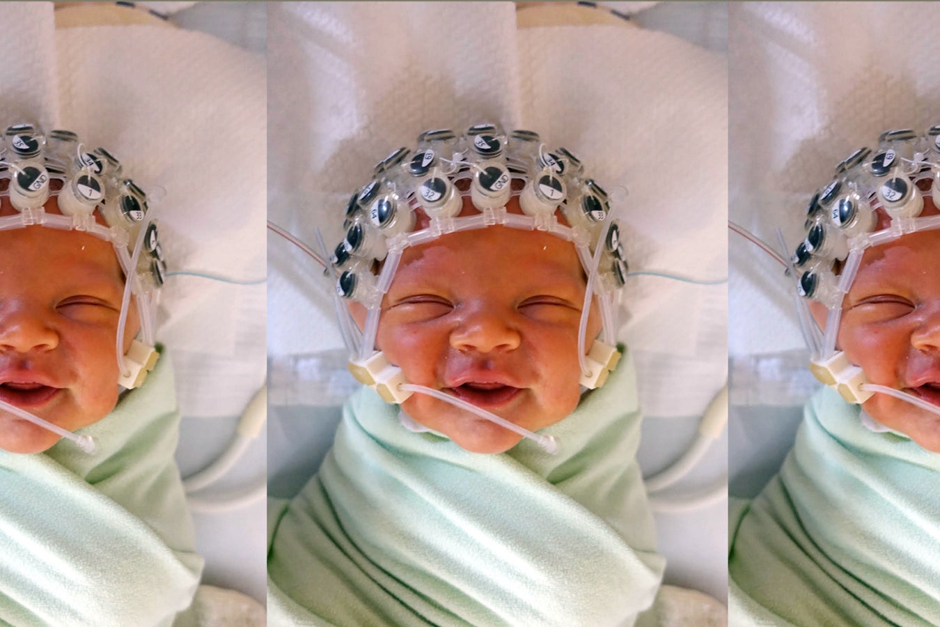 It Turns Out We Were Born To Groove | Scientific American