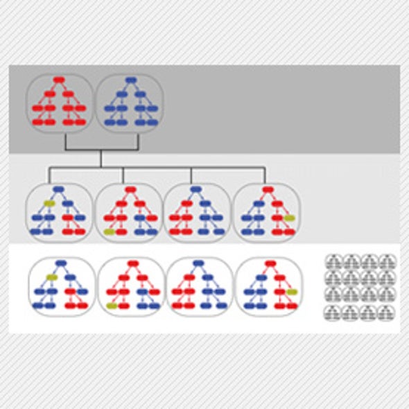 How Listeners Shape the Evolution of Music - Scientific American