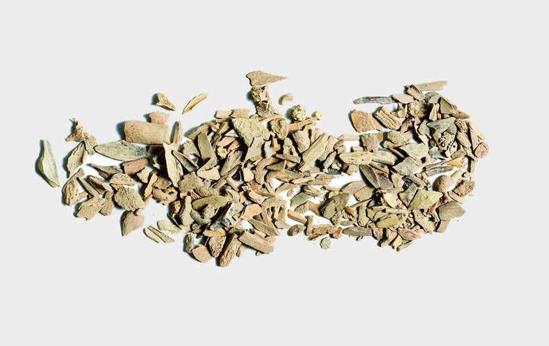 Ingenious Method Reveals Precious Human Remains Hidden in Fossil "Junk ...