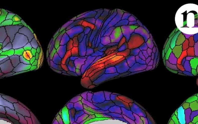 Scientists Map Nearly 200 Areas in the Human Brain - Scientific American