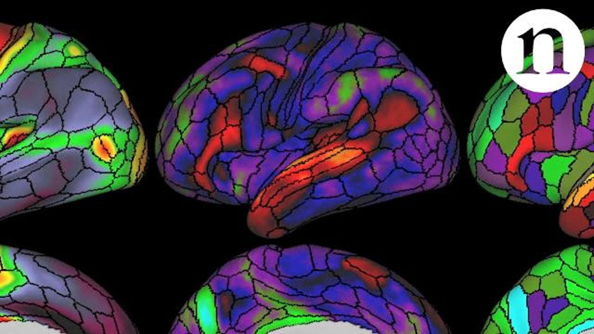 Scientists Map Nearly 200 Areas in the Human Brain | Scientific American