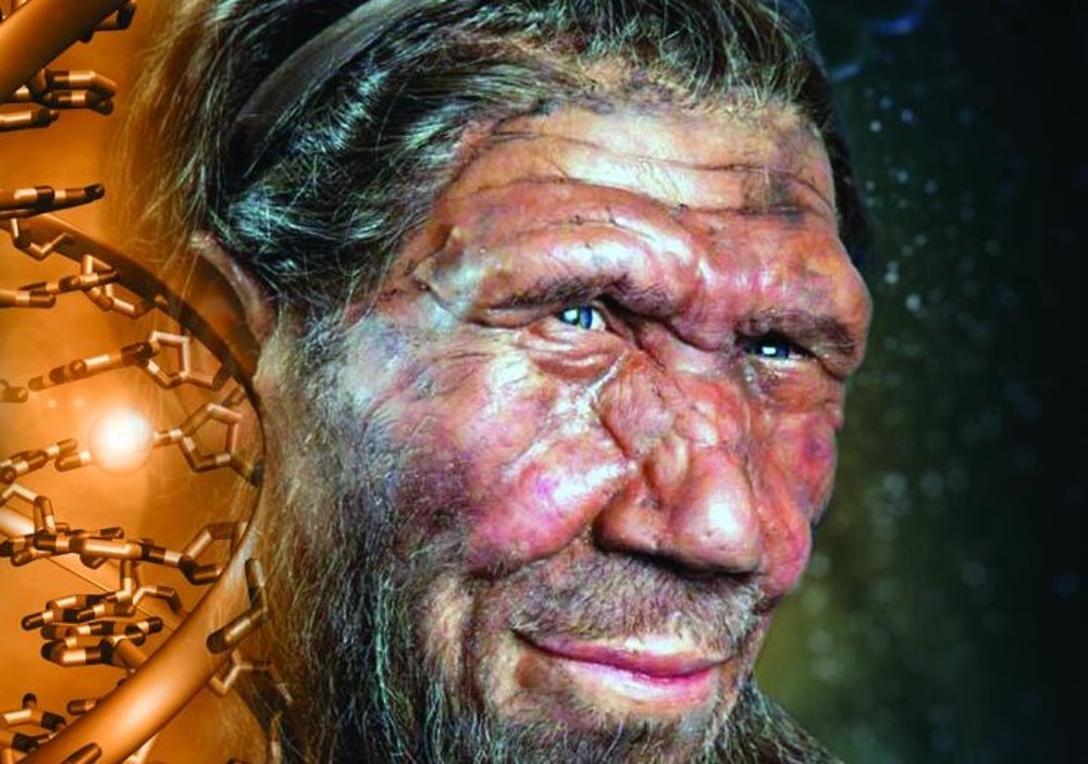Neandertal Face Shape Was All Over the Air | Scientific American