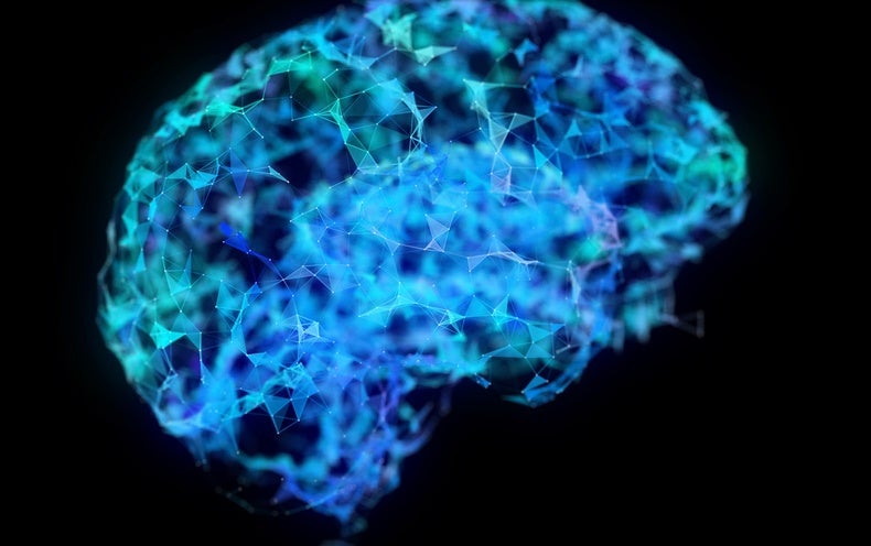 What Does a Guilty Brain Look Like? - Scientific American