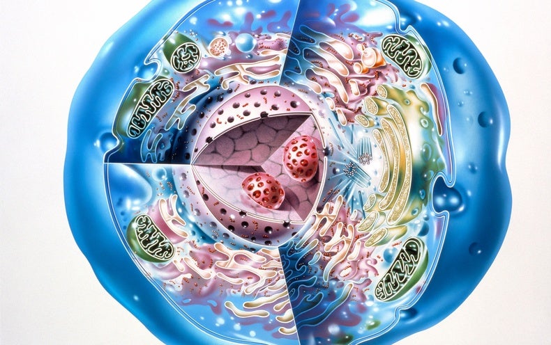 Quantum Microscope Spies on Chemical Reactions in Real Time ...