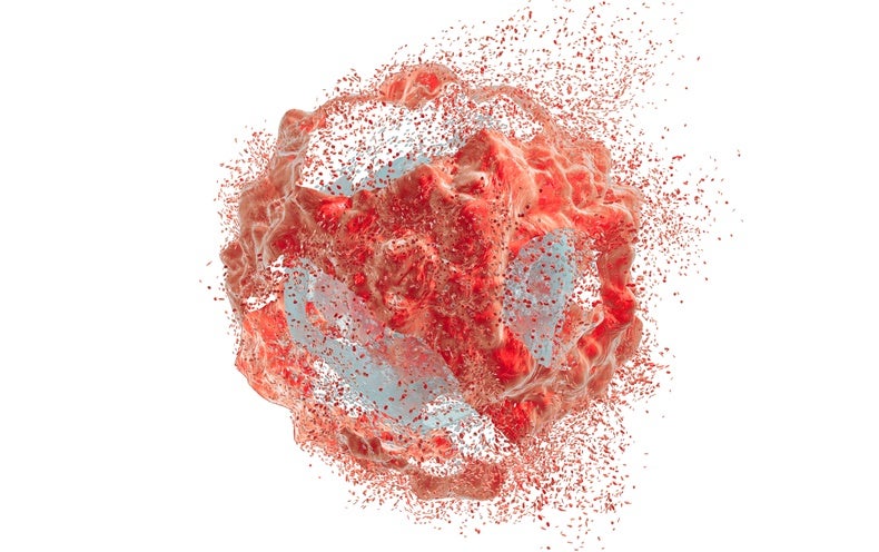The Coming Revolution in Cancer Care - Scientific American