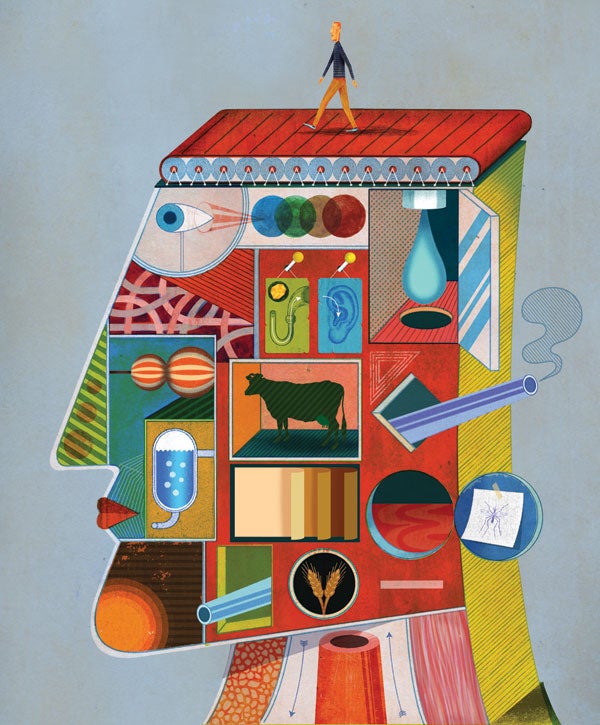 No, Humans Have Not Stopped Evolving - Scientific American