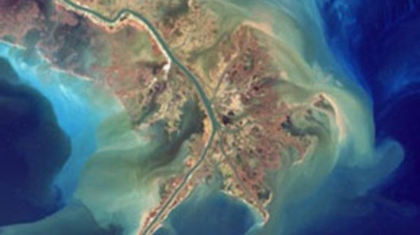 What Causes Ocean "Dead Zones"? - Scientific American