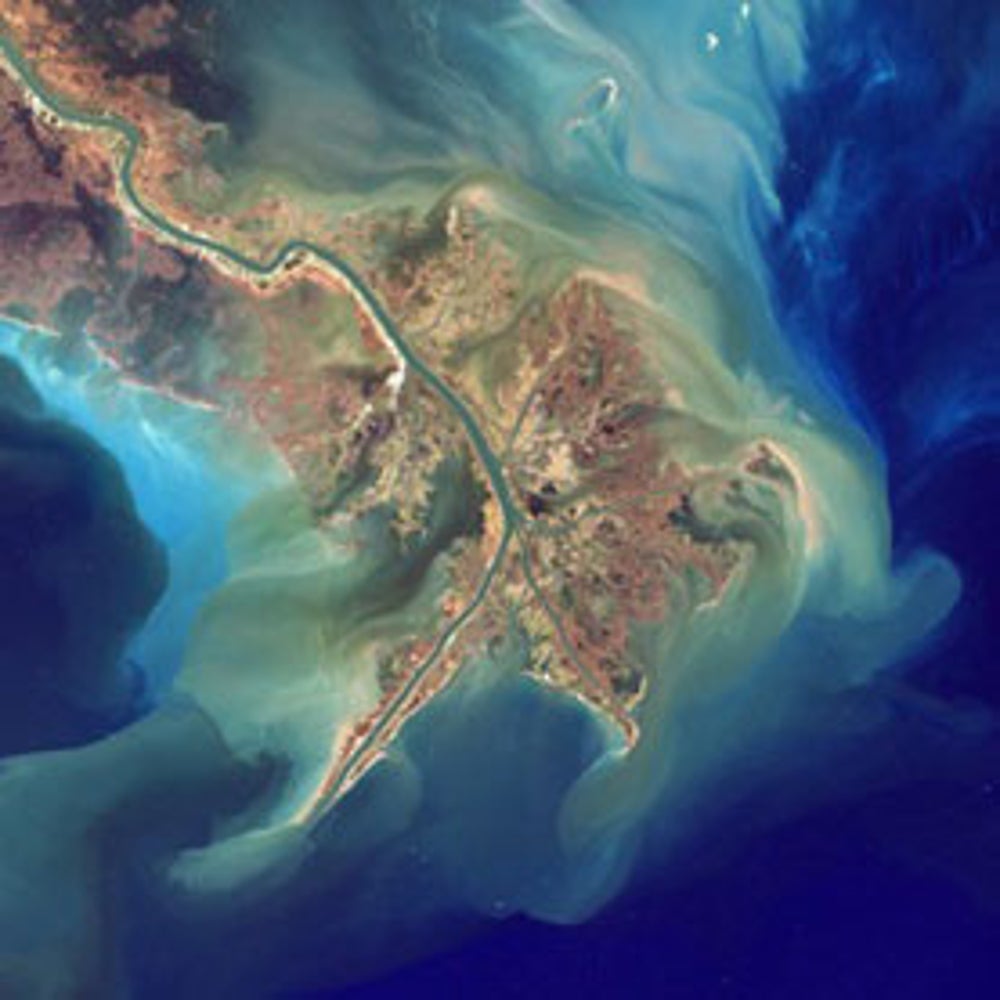 What Causes Ocean "Dead Zones"? | Scientific American