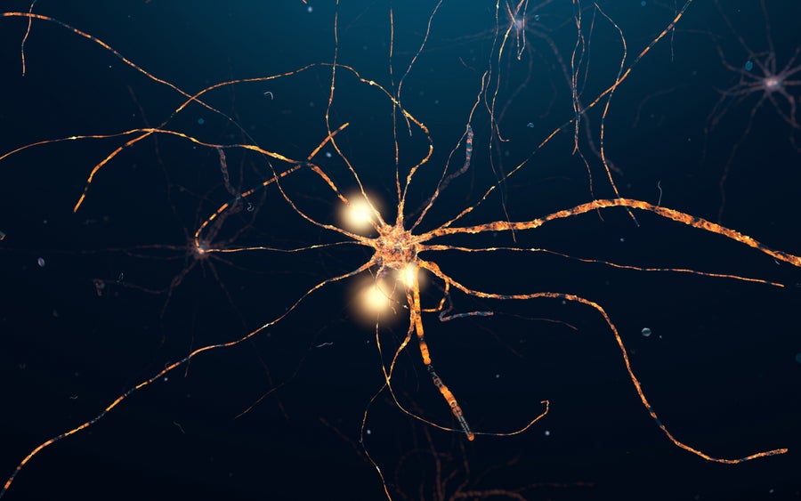 Using Light to Control Cells Holds Promise across the Body | Scientific ...