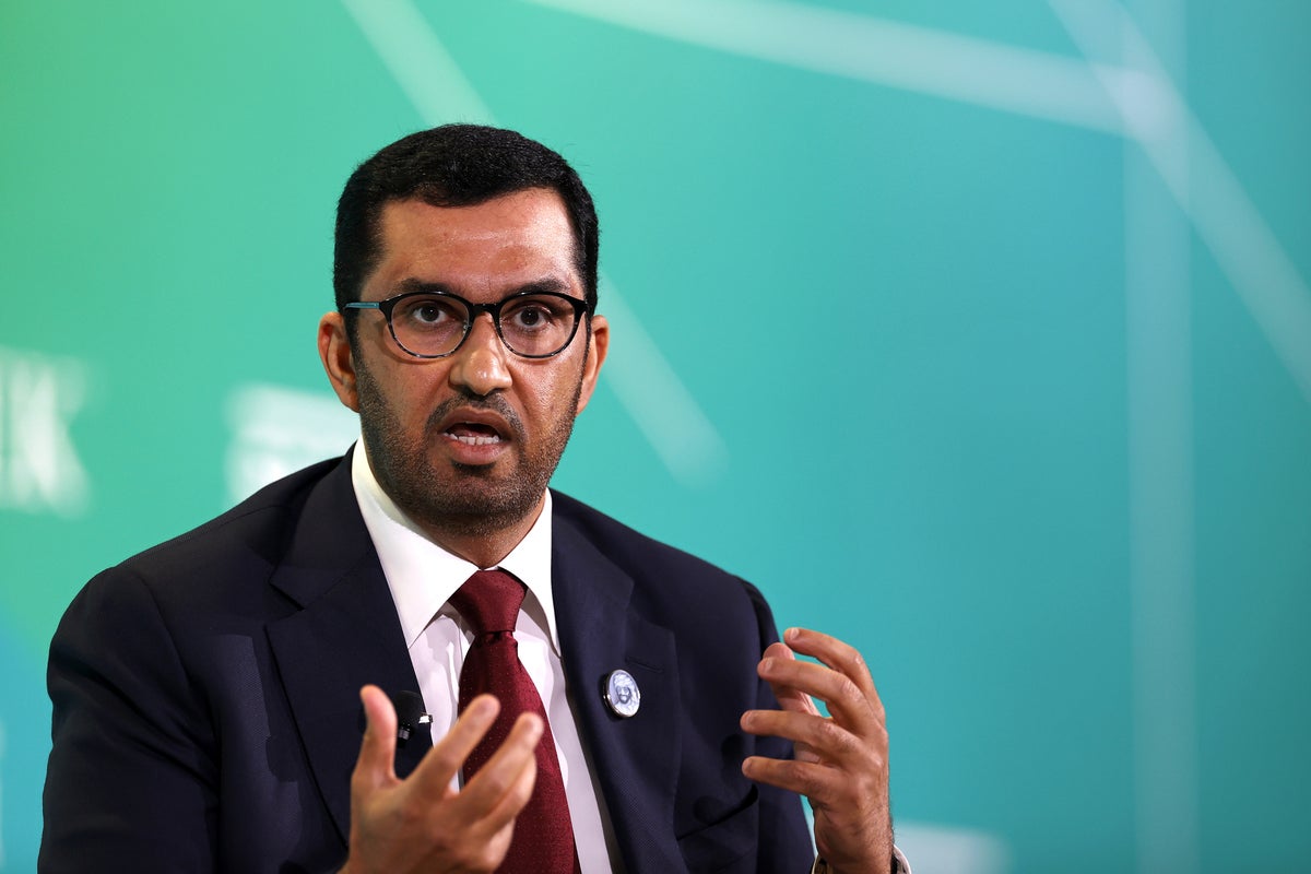 A Dolphin’s Tale: How Researchers Gave One Bottlenose a Prosthetic Tail ...