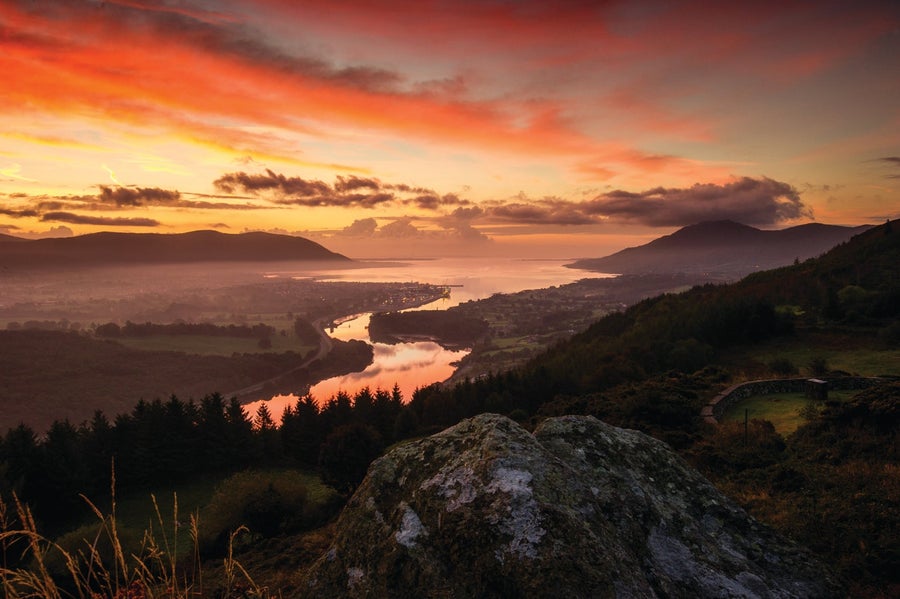 A Teenager with Autism Protects the Planet, a Tale of Love and Science ...