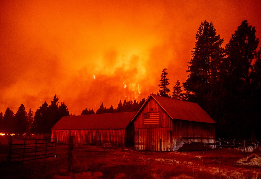 The Worst Wildfires Are Started by People. Here's How | Scientific American