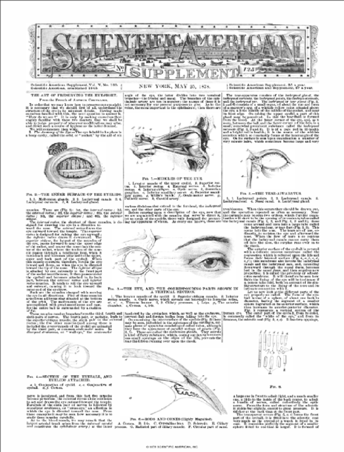 Scientific American Supplements Volume 5, Issue 125supp | Scientific ...