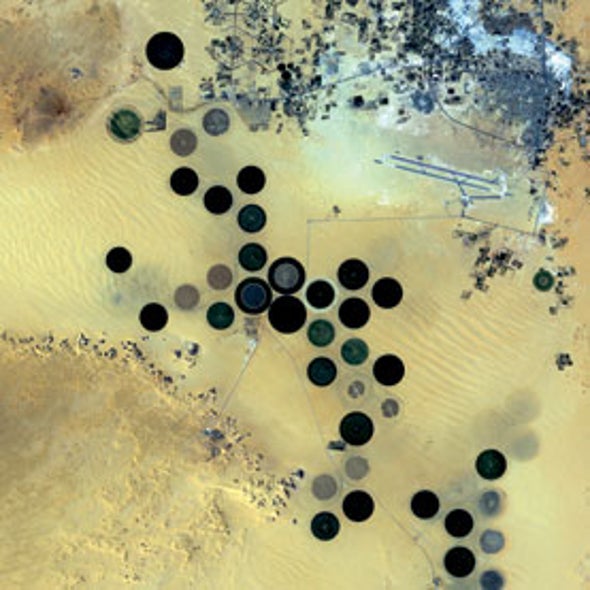 Ancient Water Irrigates Saharan Oasis - Scientific American