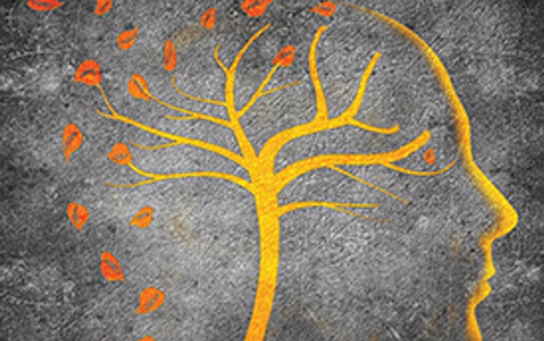 How The Brain Purges Bad Memories Scientific American