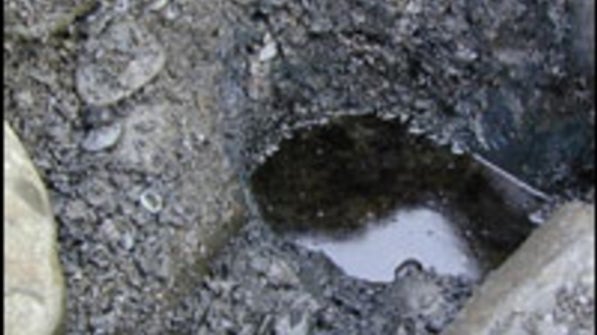 Environmental Effects of Exxon Valdez Spill Still Being Felt ...