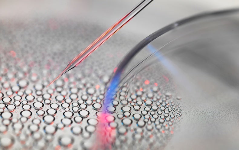 Trials of Embryonic Stem Cells to Launch in China - Scientific American