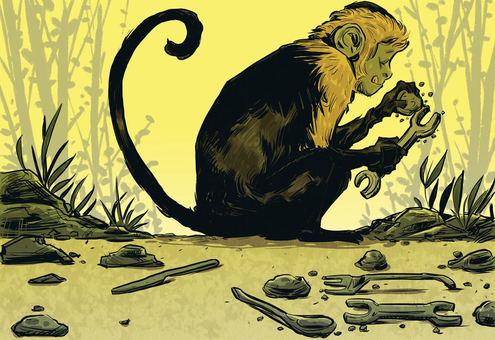 Monkeys Make Stone "Tools" That Bear a Striking Resemblance to Early ...