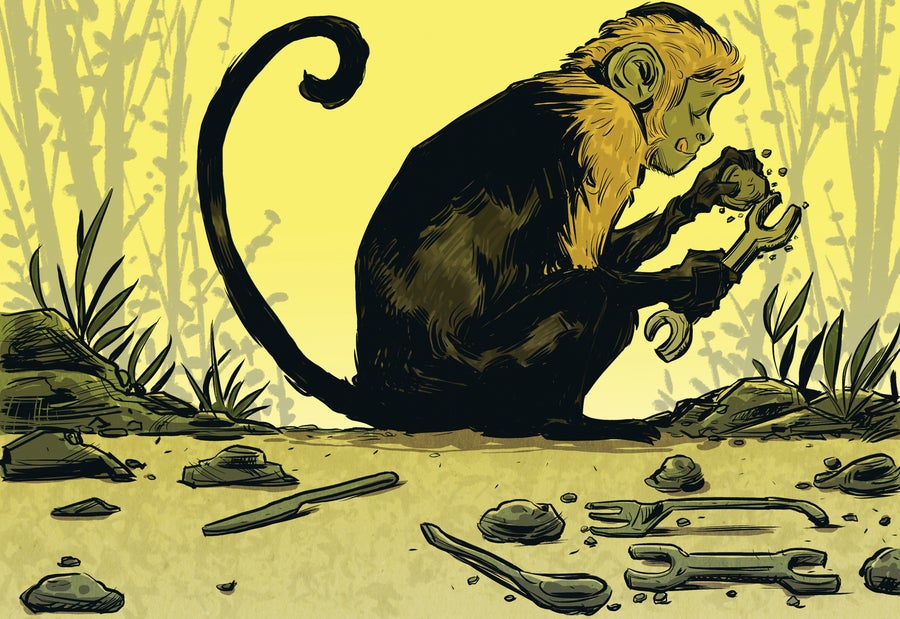 Monkeys Make Stone "Tools" That Bear a Striking Resemblance to Early ...