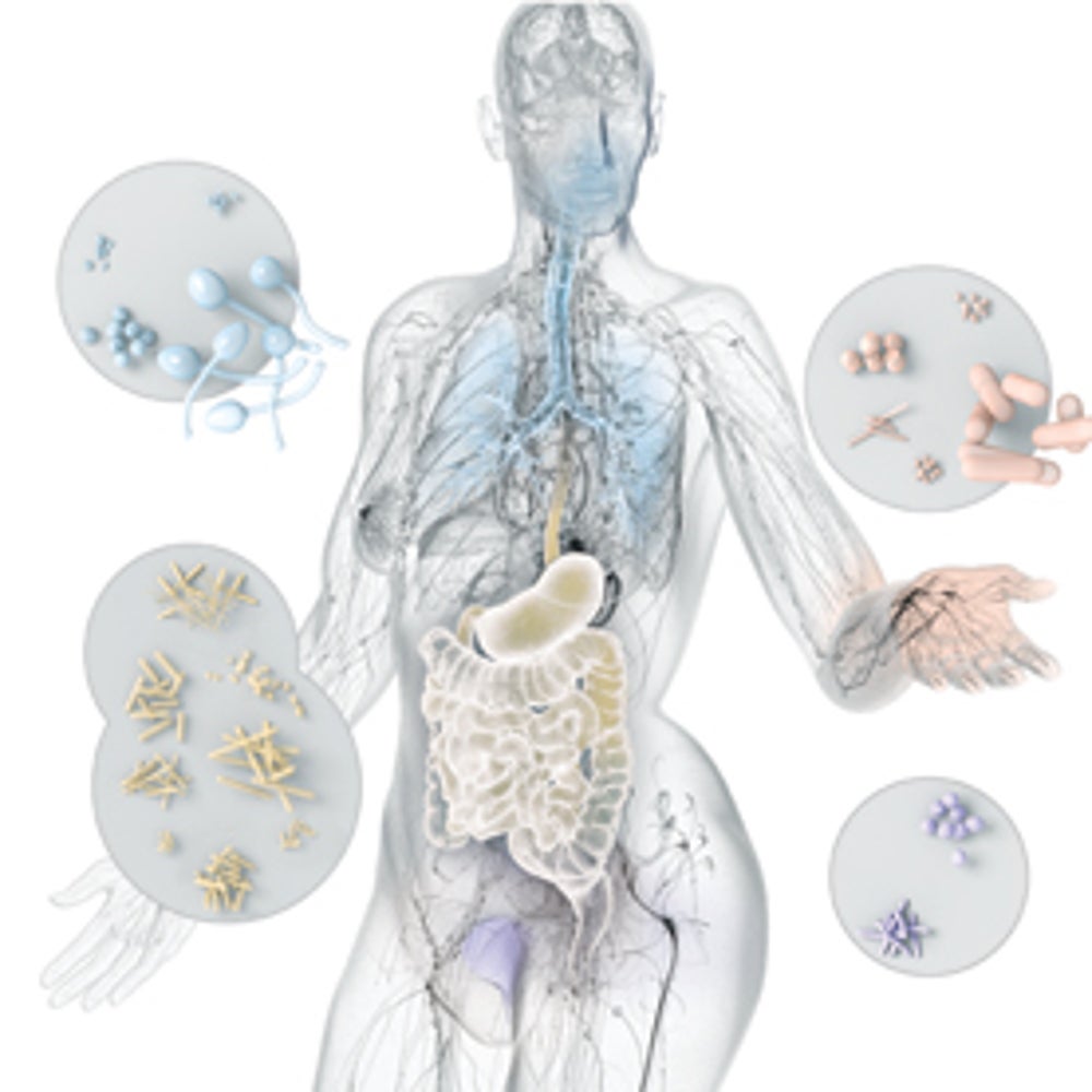 Explore the Human Microbiome [Interactive] | Scientific American