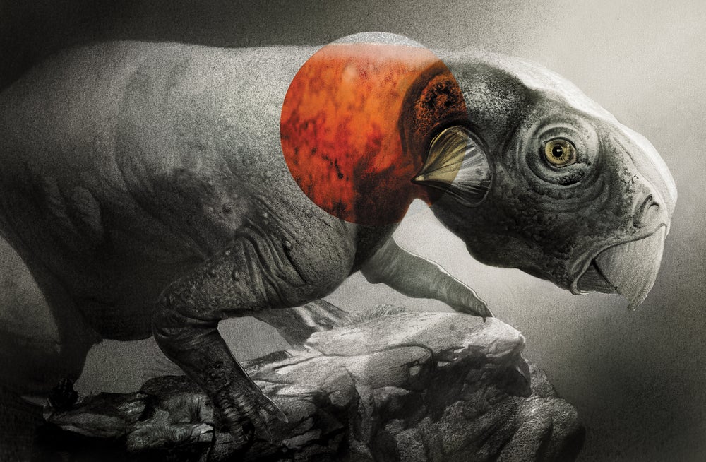 Fossil Pigments Reveal the True Colors of Dinosaurs | Scientific American