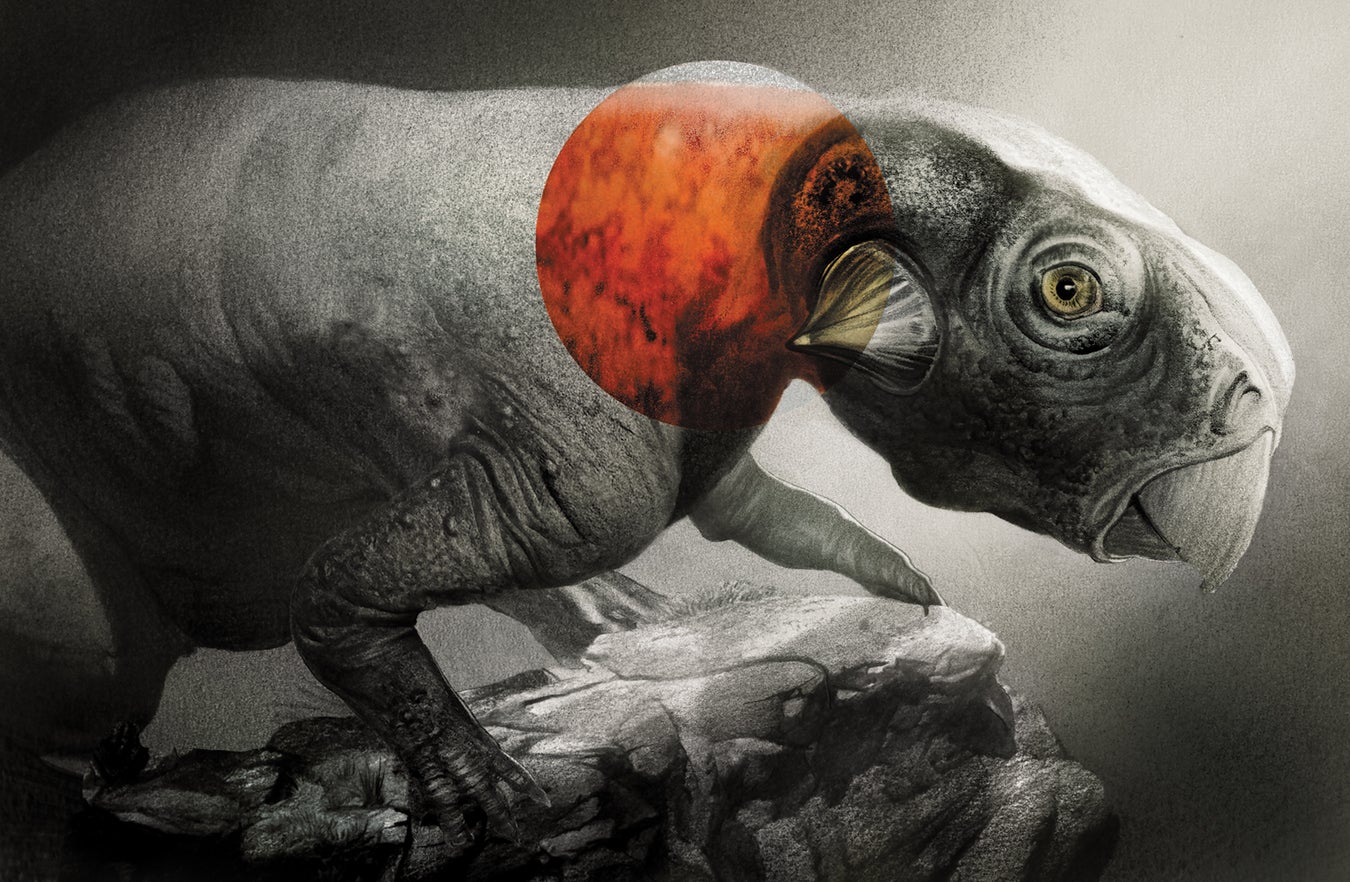 Fossil Pigments Reveal the True Colors of Dinosaurs | Scientific American