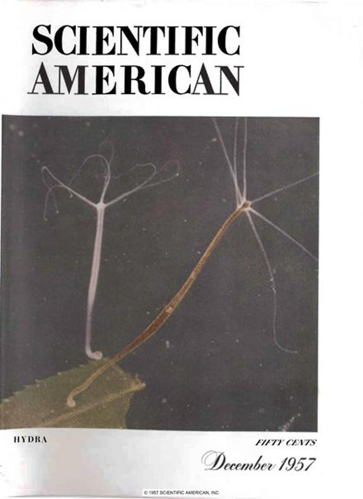 Scientific American Volume 197, Issue 6 | Scientific American