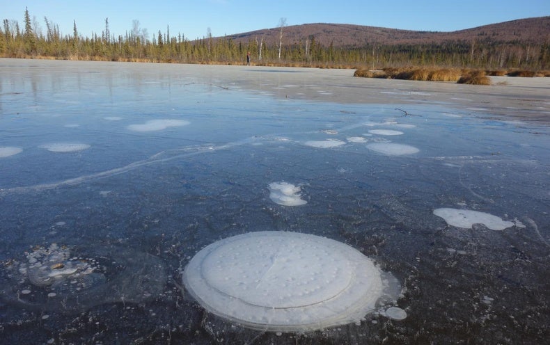 Arctic Lakes Might Emit Less Carbon Than Suspected - Scientific American