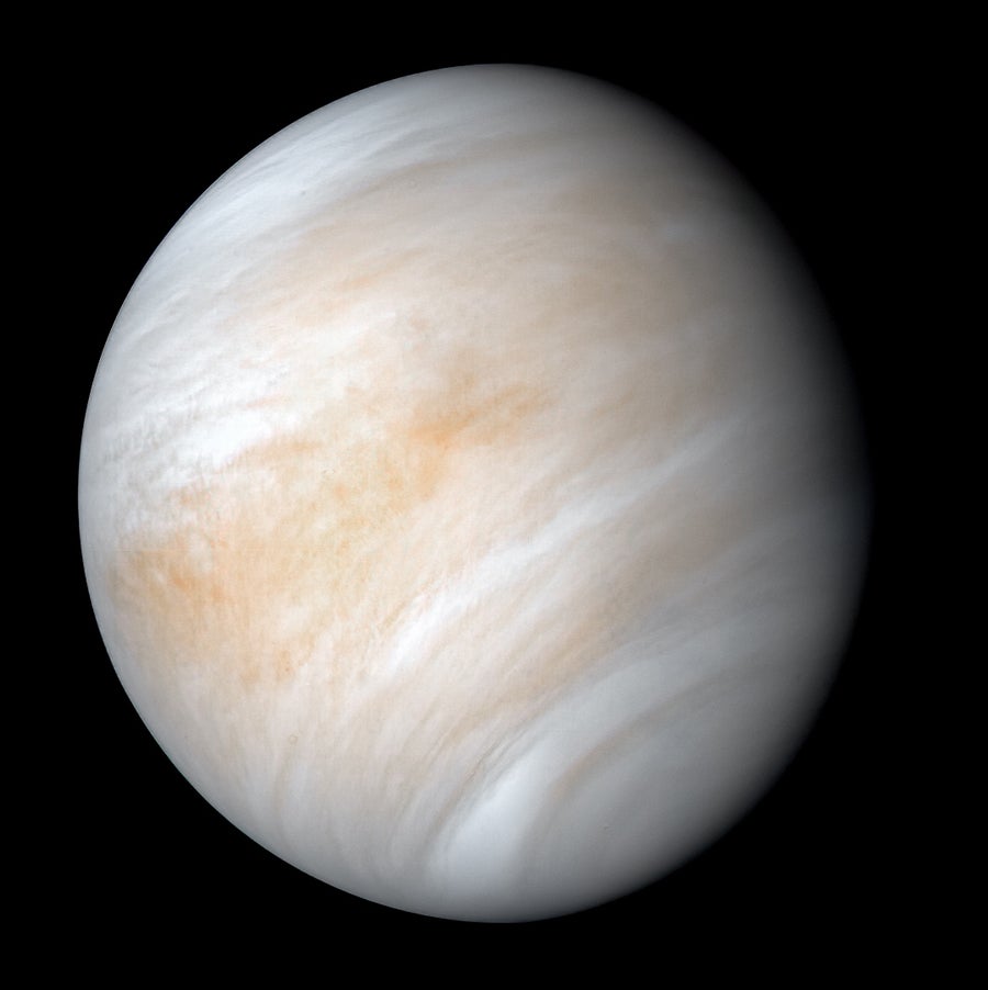 Is There Really Life on Venus? There's Only One Way to Know for Sure ...