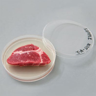 The Case for Artificial Meat [Podcast] - Scientific American