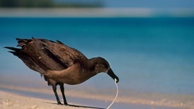 Stories by Matthew Savoca News and Research - Scientific American