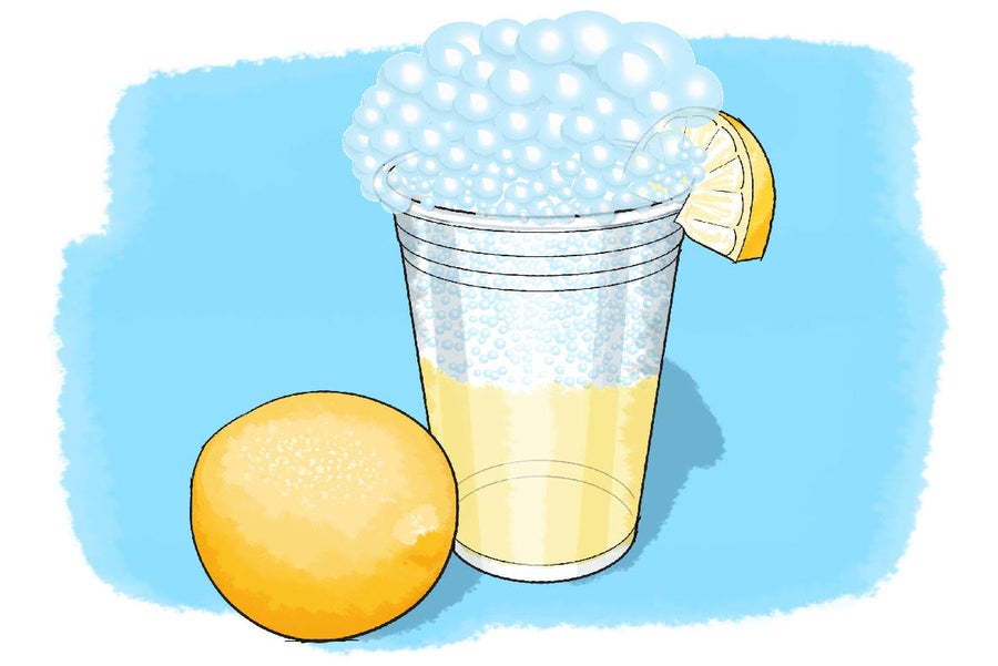 Make Your Own Fizzy Lemonade | Scientific American