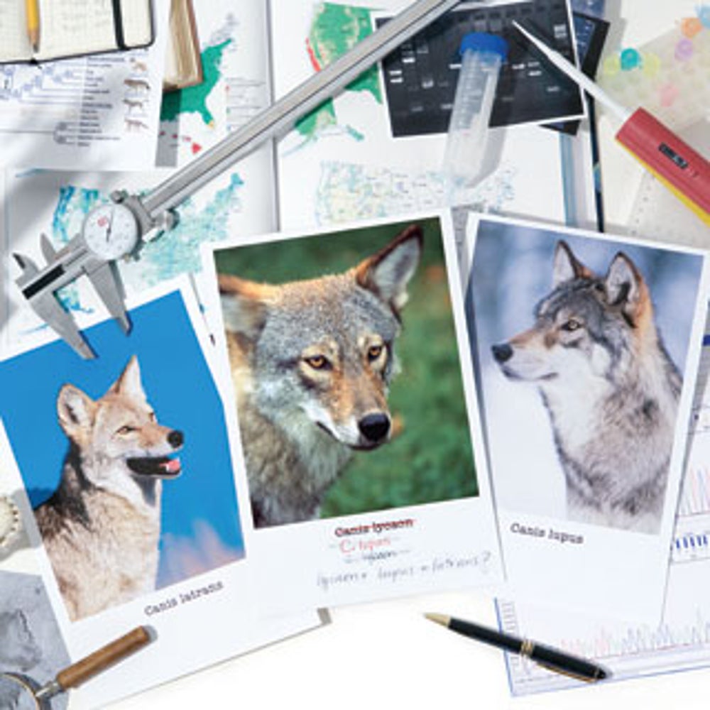 What Is a Species? | Scientific American