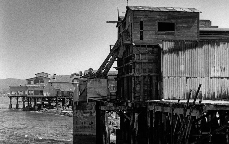 Old Seaweed Reveals Secret of Monterey Sardine History - Scientific ...