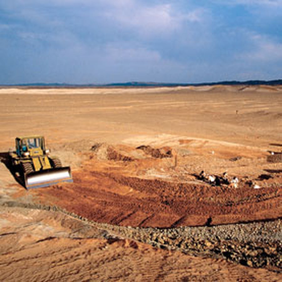 Dinosaur Death Trap: Gobi Desert Fossils Reveal How Dinosaurs Lived ...