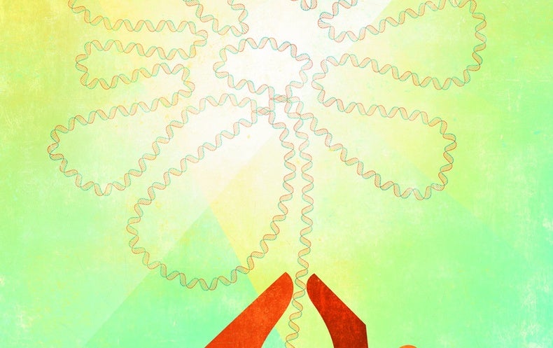 Untangling the Formation of DNA Loops - Scientific American