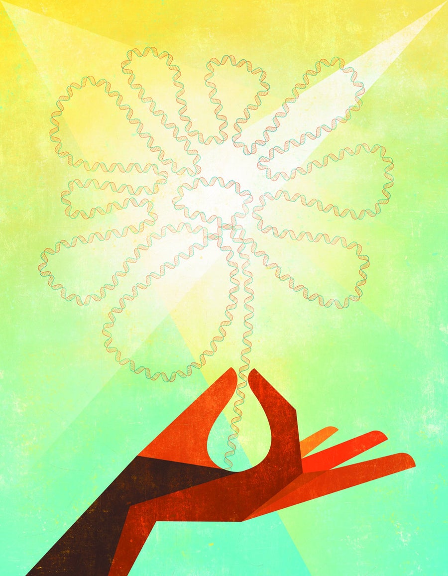 Untangling the Formation of DNA Loops | Scientific American