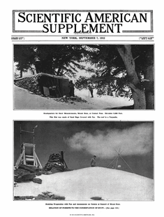 The Sixth Sense of the Bat - Scientific American