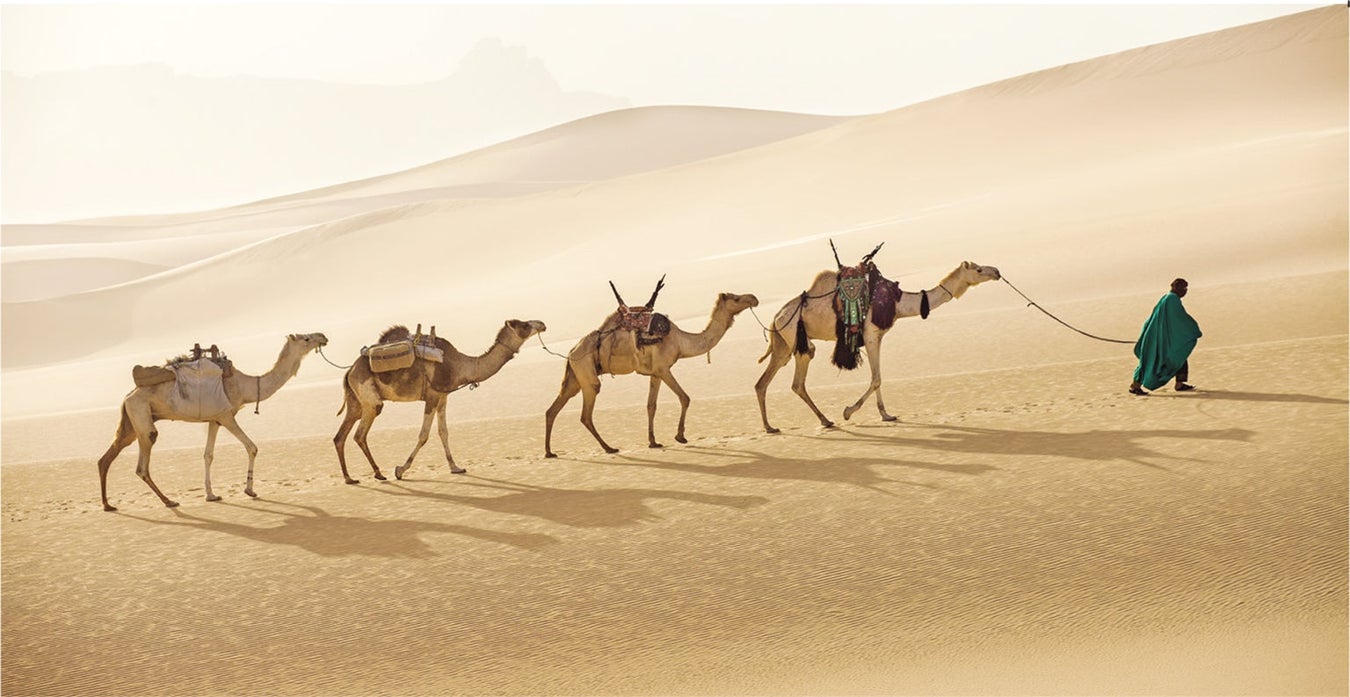 How the Sahara Was Born | Scientific American