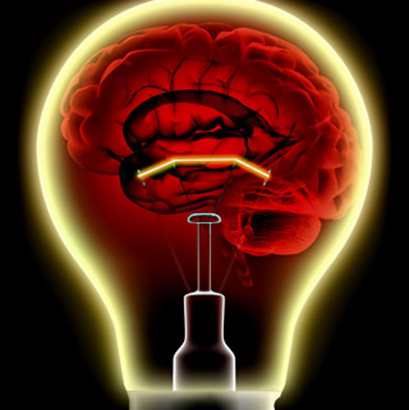 Why Does the Brain Need So Much Power? | Scientific American