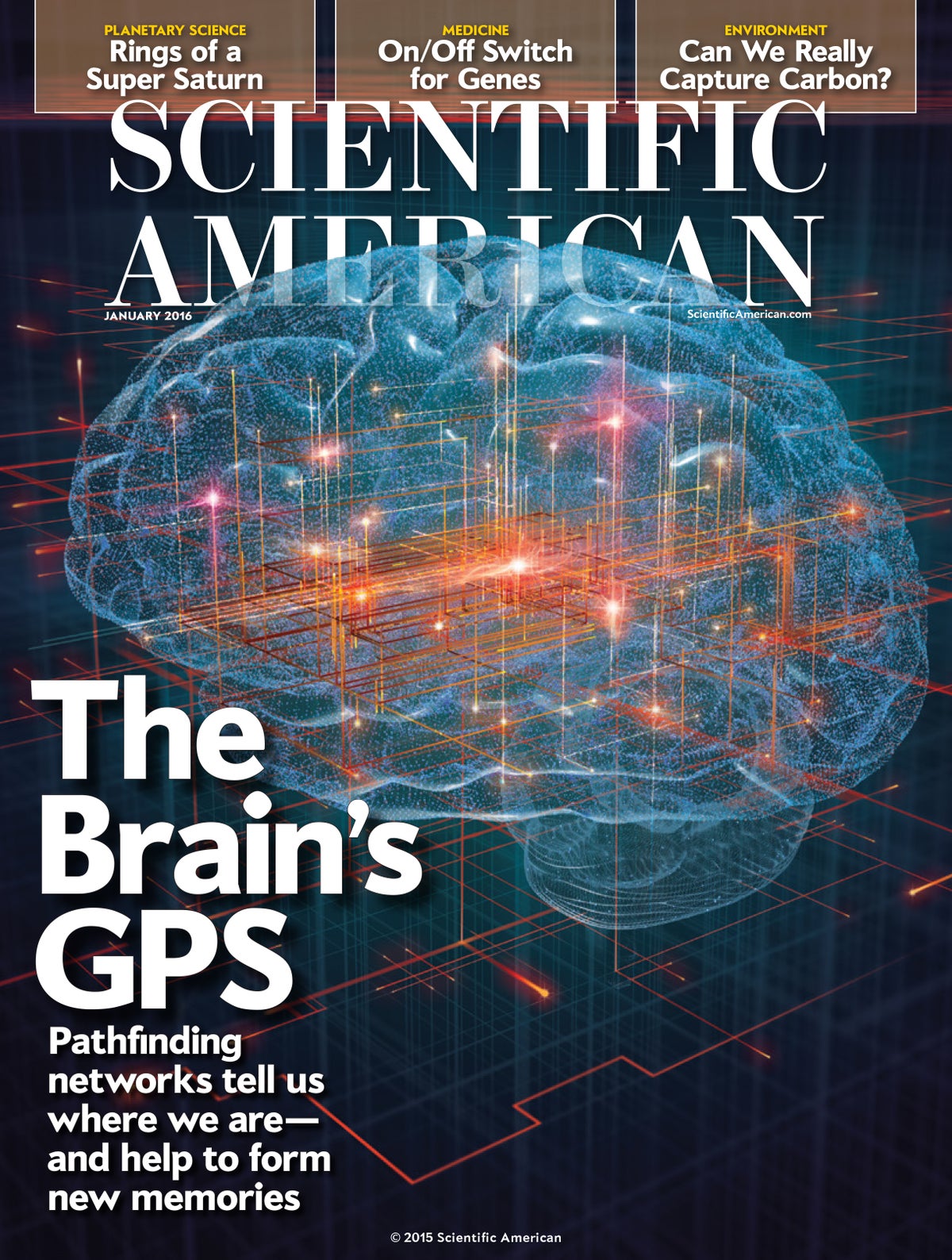 Scientific American Volume 314, Issue 1 | Scientific American