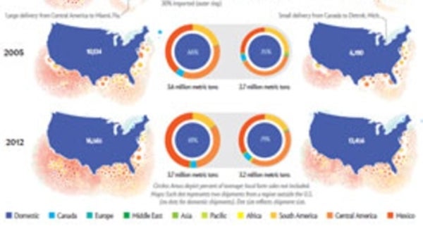 U.S. Demand for Fruits and Vegetables Drives Up Imports - Scientific ...