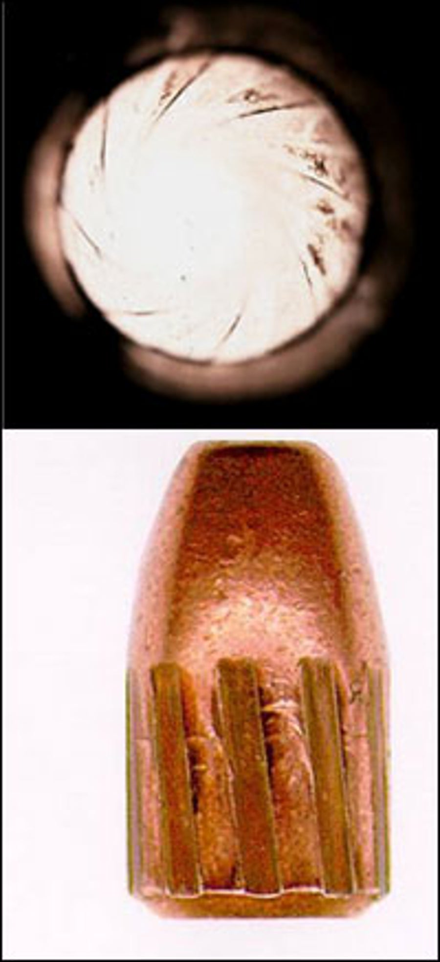 How can a bullet be traced to a particular gun? | Scientific American