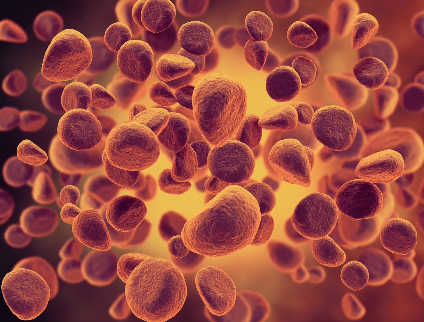 Scientists Seek to Map All Human Cells in Vast Atlas | Scientific American